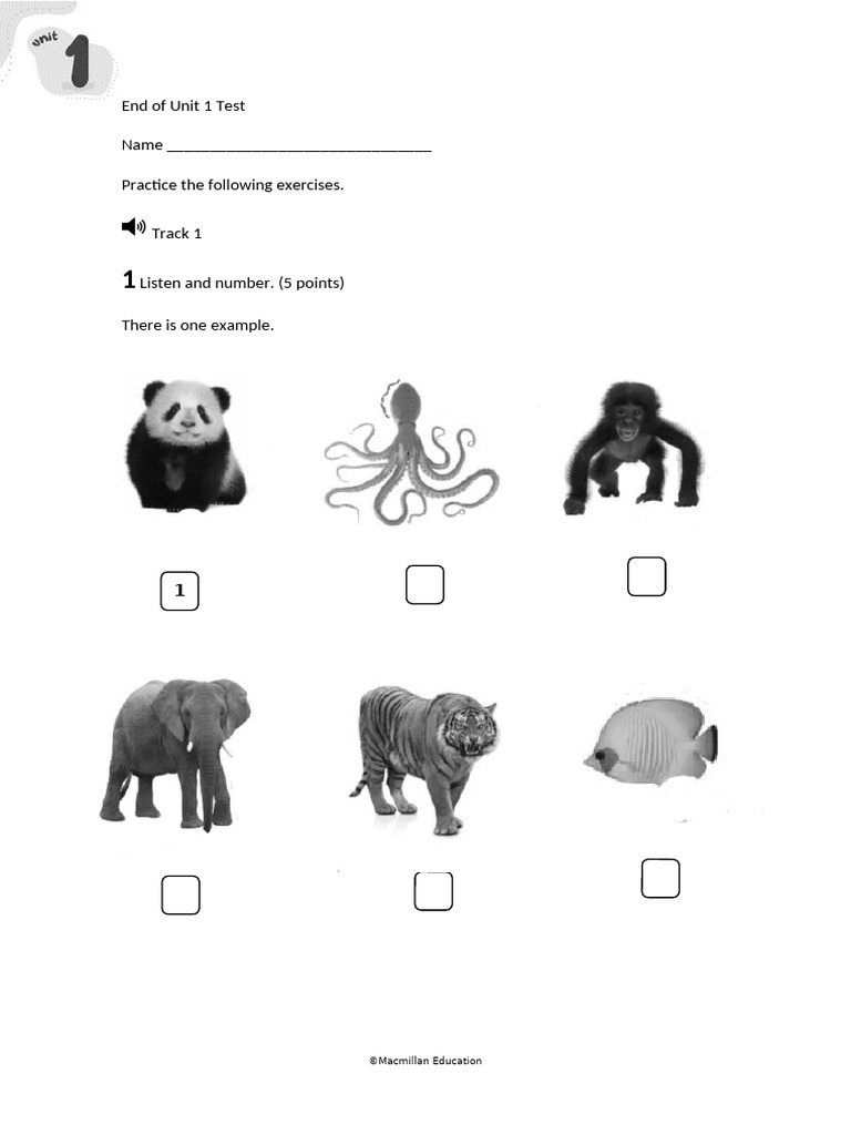 In - Level 2 - U1 - TEST | PDF