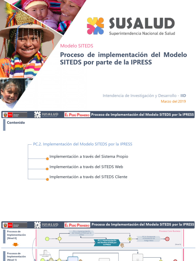 2 Manual de Proceso de implementación del Modelo SITEDS por las IPRESS | PDF