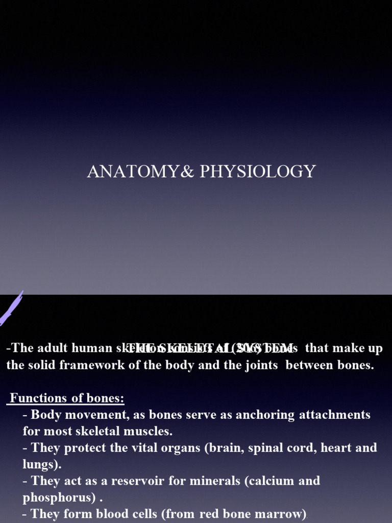 Physiology of Bones and Muscles | PDF