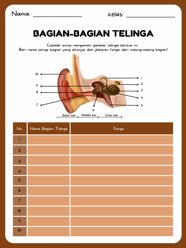 Lembar Kerja IPA Bagian Telinga | PDF