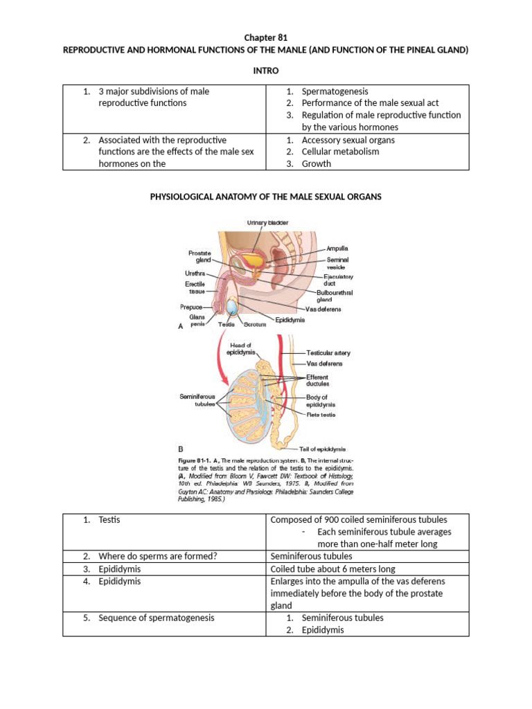 Guyton Must Knows Repro | PDF