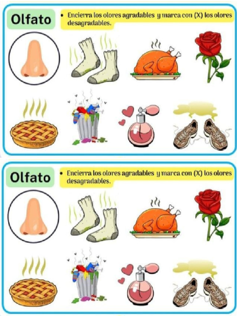 Hoja de Trabajo Del Sentido Del Olfato | PDF