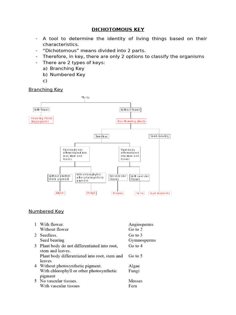 Variation Chapters - Notes | PDF