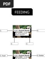 Pearson Edexcel Iprimary English | PDF