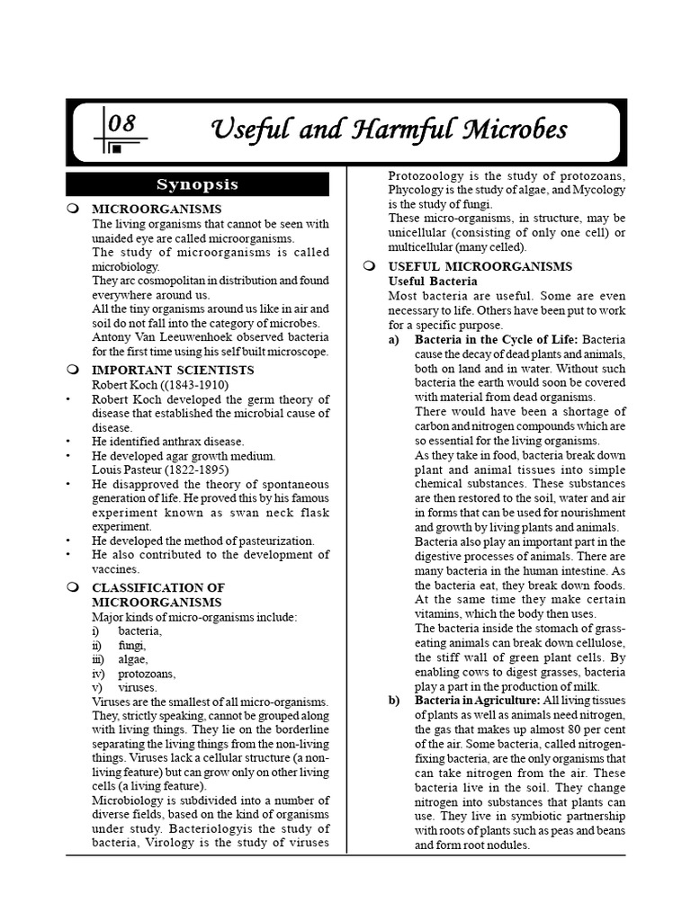 Chap - 08 Useful and Harmful Microbes | PDF