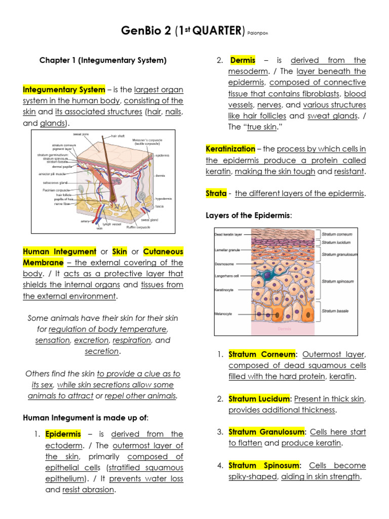 Biology 2 (1st Quarter) | PDF