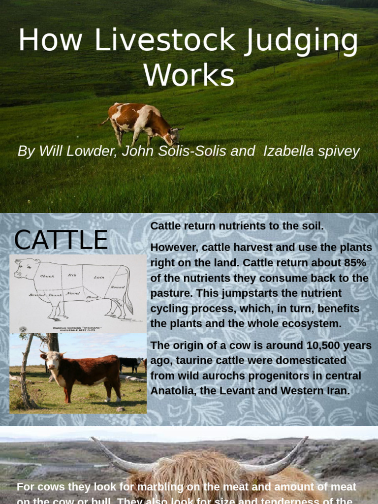 Livestock Judging Presentation | PDF