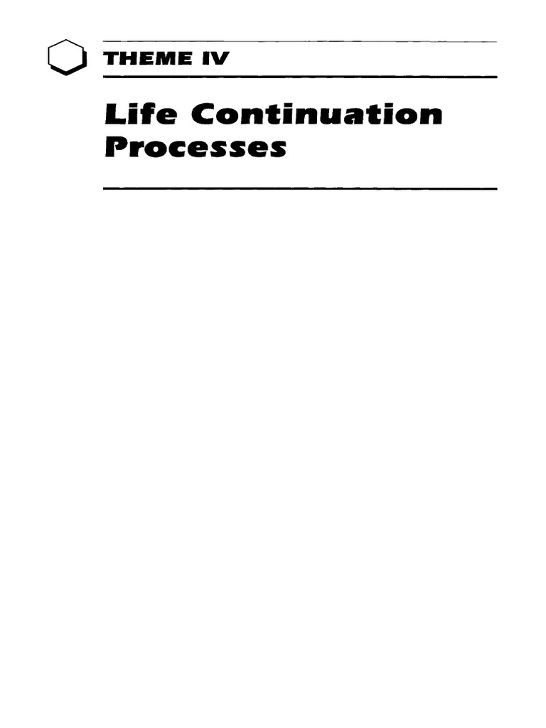 Life Continuation Processes: Theme Iv | PDF