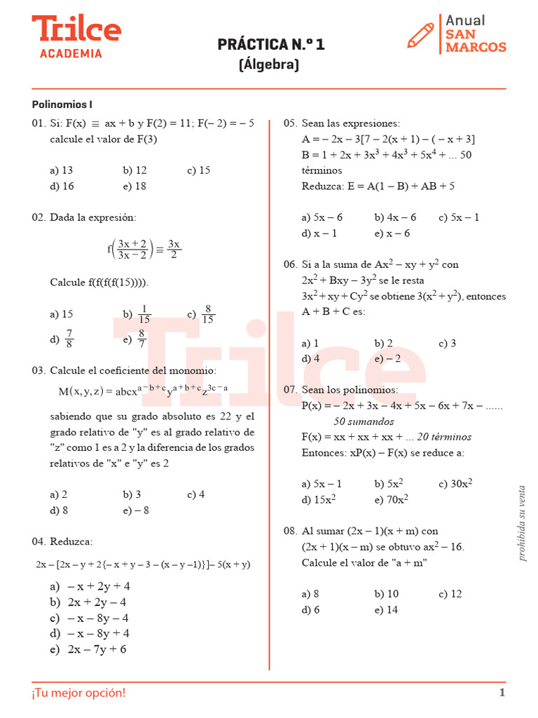 Practica Anual SM N-1 (Algebra) | PDF | Álgebra | Matemática