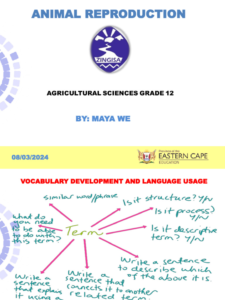 Animal Reproduction Material | PDF | Menstrual Cycle | Cloning