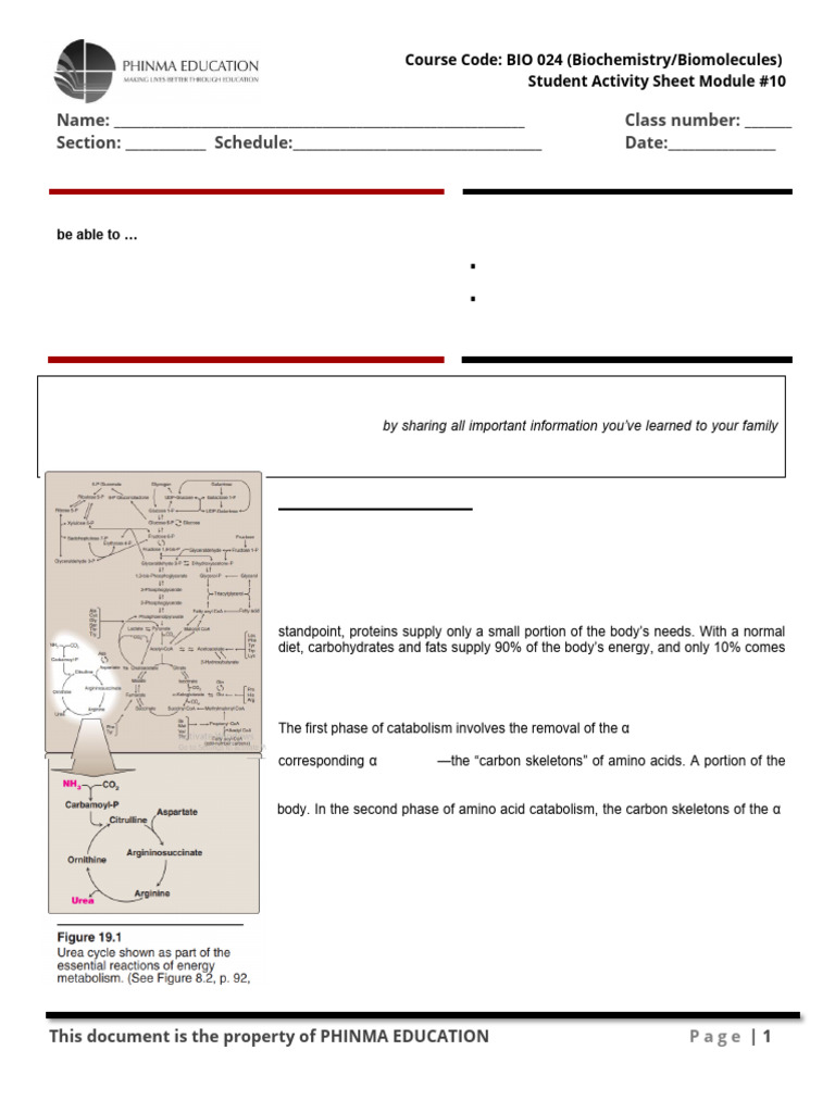 SAS For Biochemistry BIO 024 Module 10 | PDF