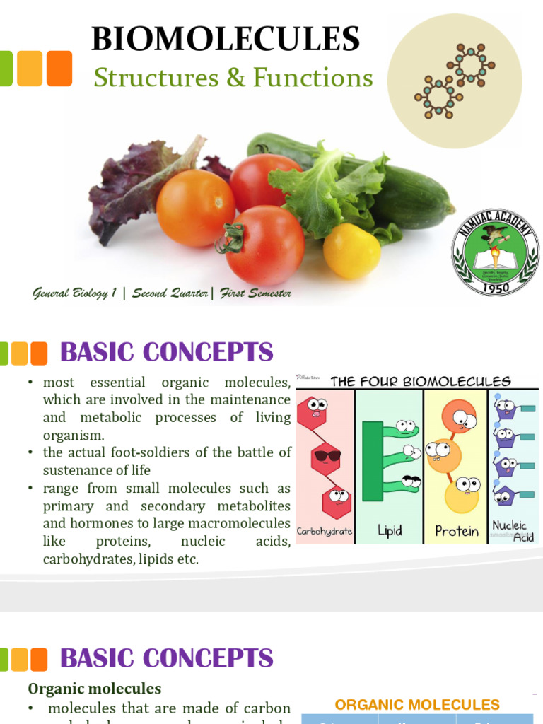 Biomolecules 1 | PDF