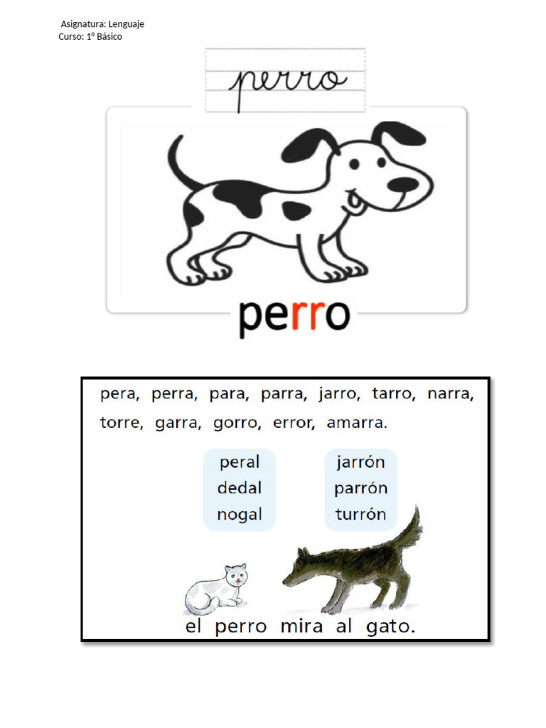 LECCIÓN PERRO - MATTE | PDF
