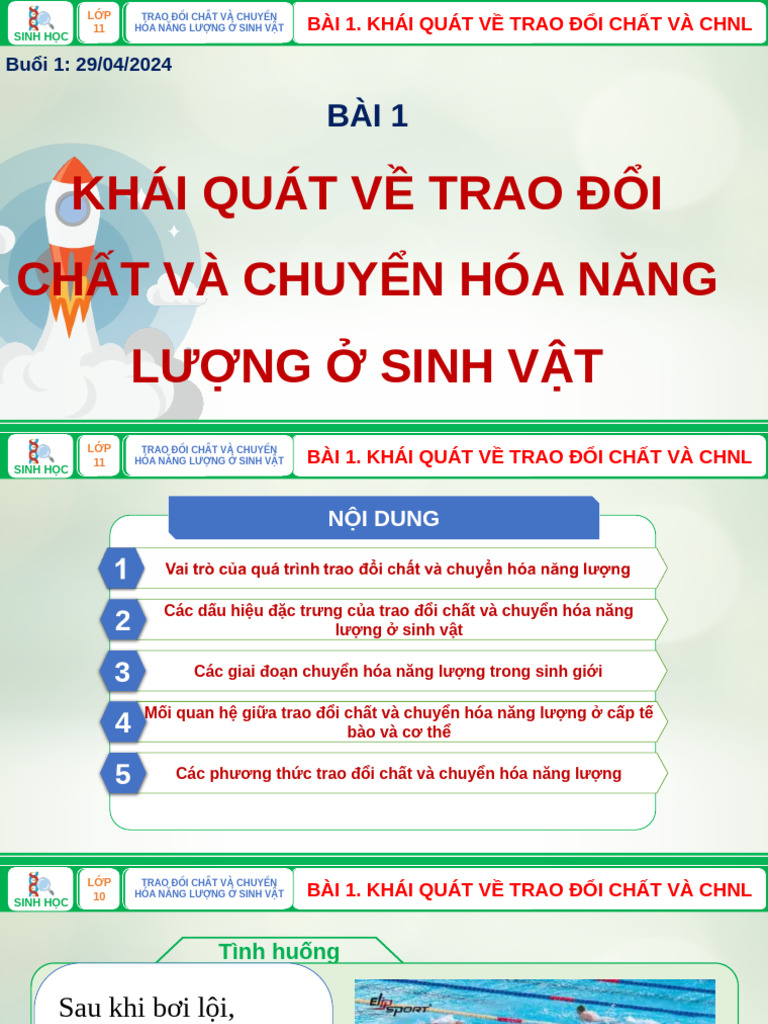 Khai Quat Ve Trao Doi Chat Va Chuyen Hoa Nang Luong | PDF
