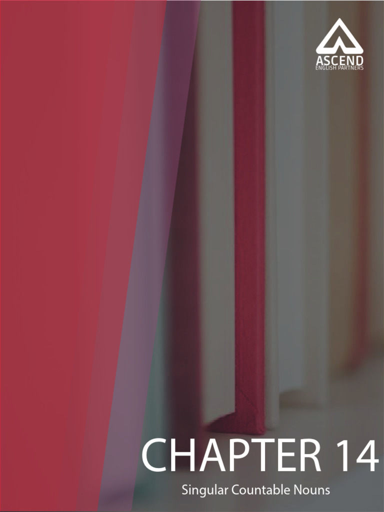 14a Singular Countable Nouns | PDF