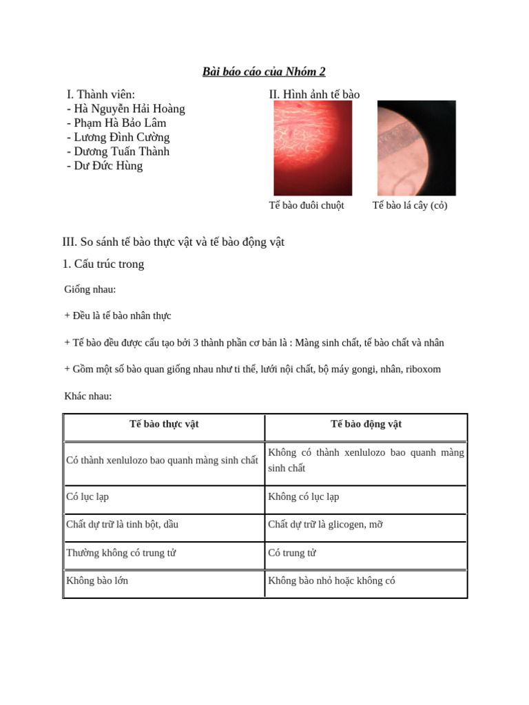 Bài Báo Cáo C A Nhóm 2 | PDF