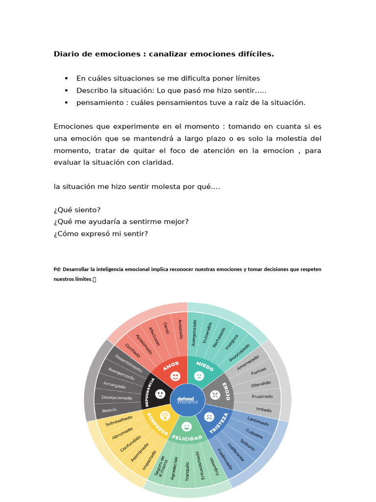 Diario de Emociones Annyi G | PDF