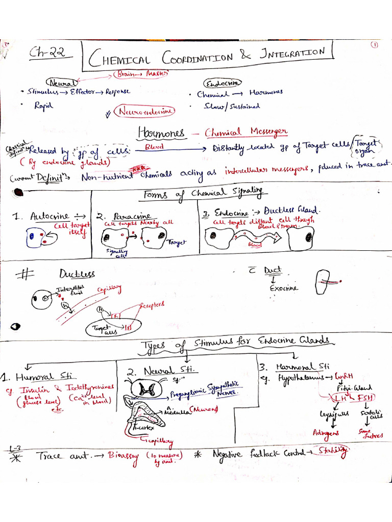Ch 10 Chemical Coordination and Integration | PDF