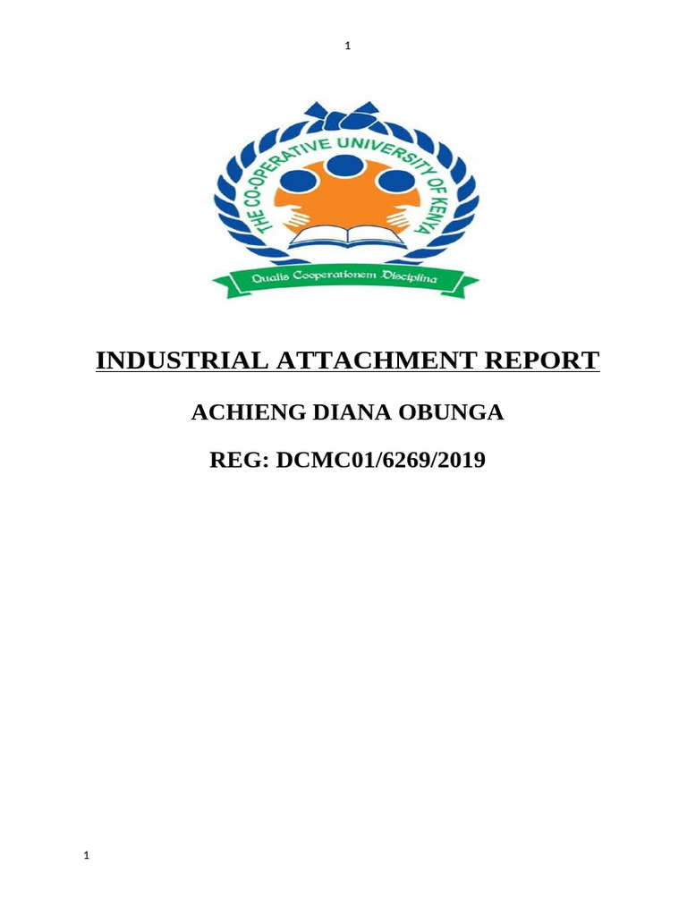 DIANA attachment report | PDF