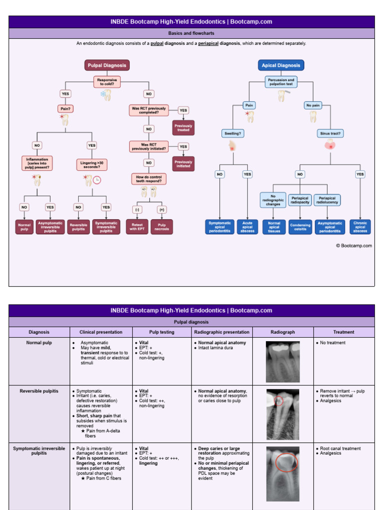 INBDE High-Yield Endodontics | PDF