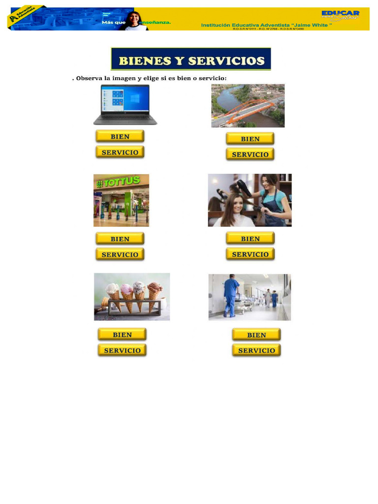 ficha de bienes y servicios | PDF