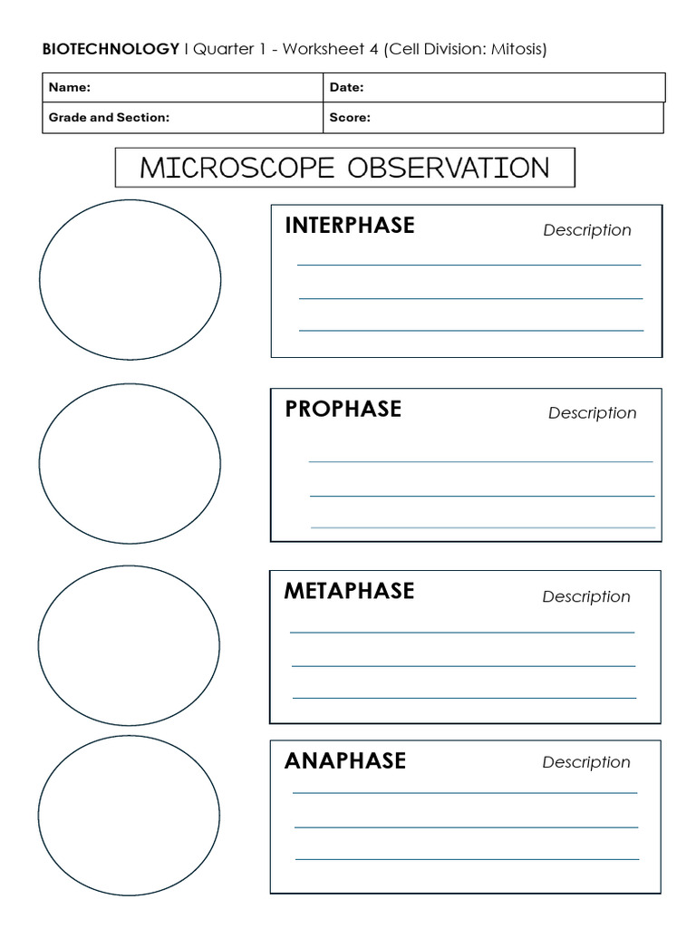 Biotechnology - Q1Worksheet4 | PDF | Social Science | Wellness