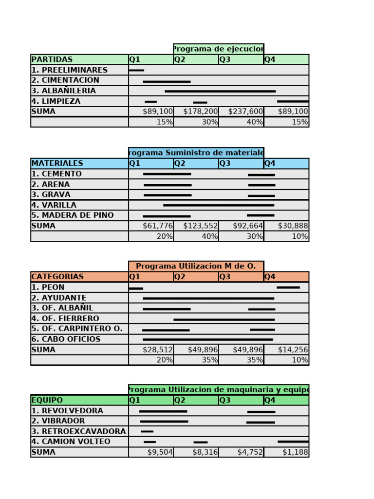 Programa de ejecucion | PDF