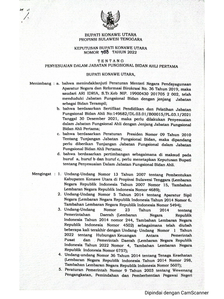 SK Fungsional IIIb Ari Idria | PDF