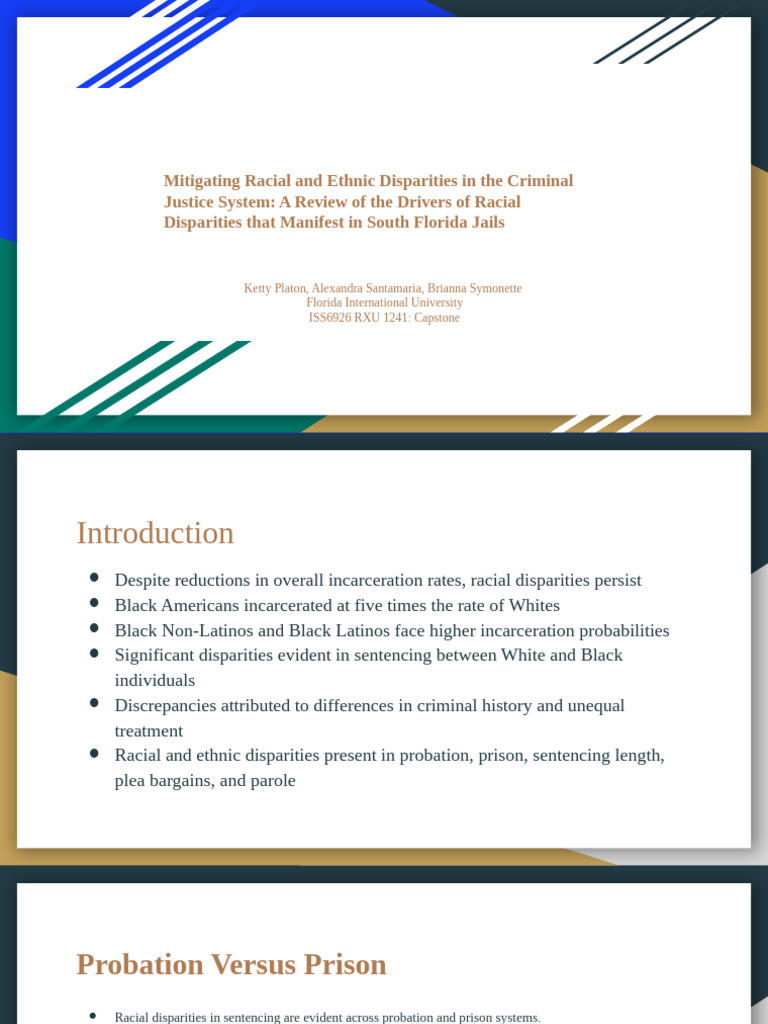 Mitigating Racial and Ethnic Disparities in The Criminal Justice System ...