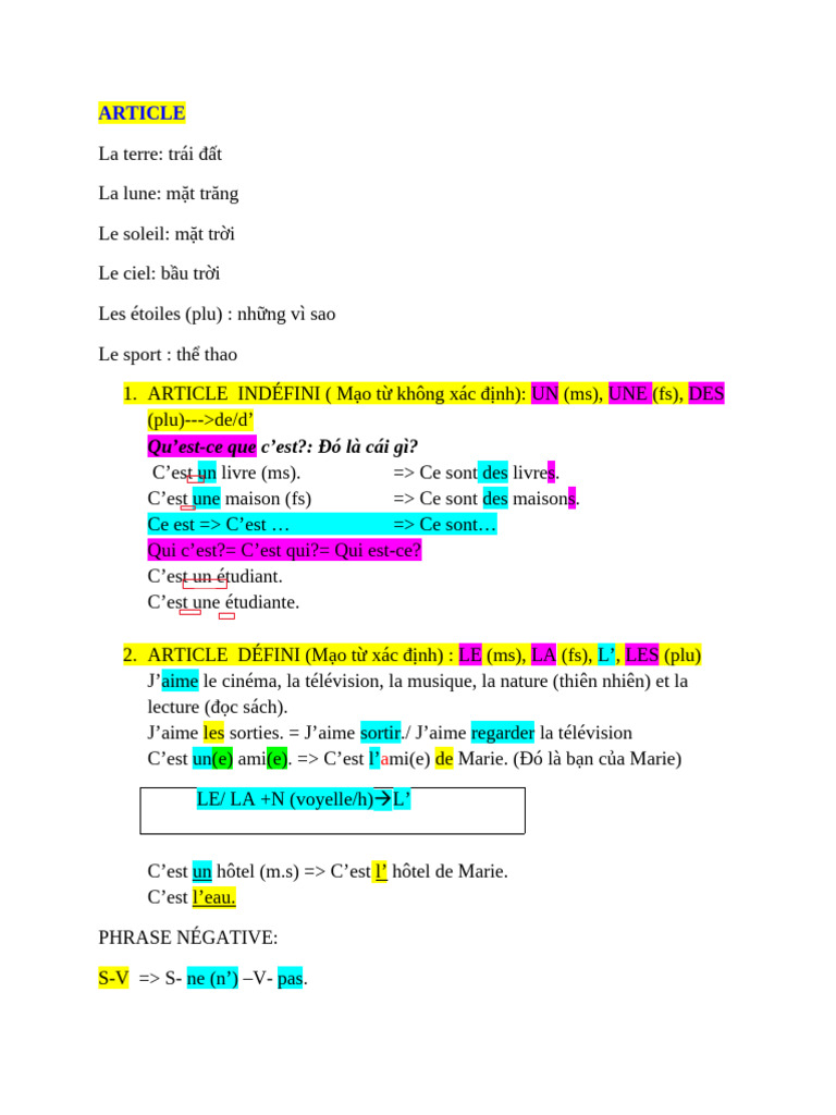 French Grammar Basics: Articles & Negation | PDF