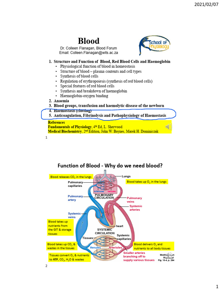 Blood Slides-Colour 1 | PDF