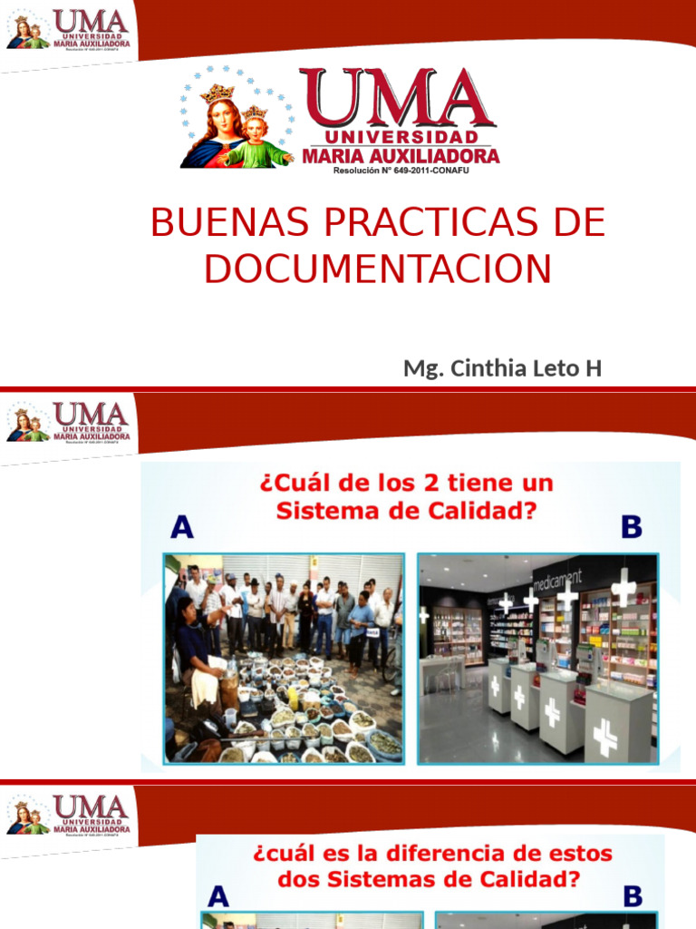 Buenas Practicas de Documentacion | PDF