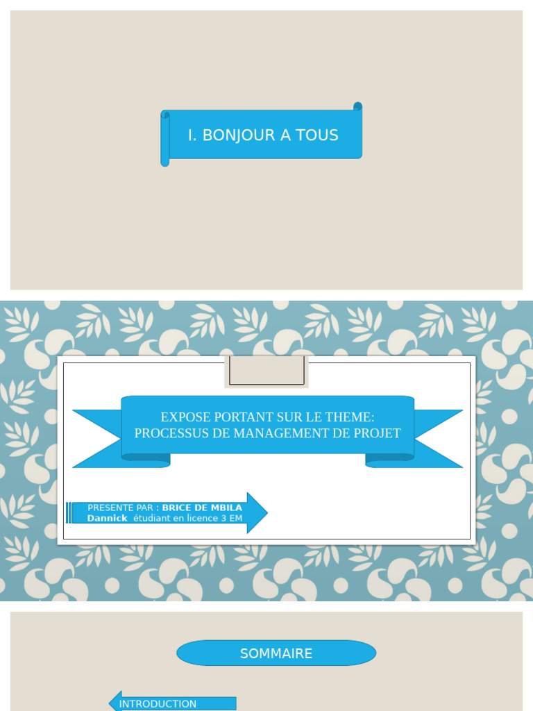 Presentation Dannick | PDF | Technology & Engineering