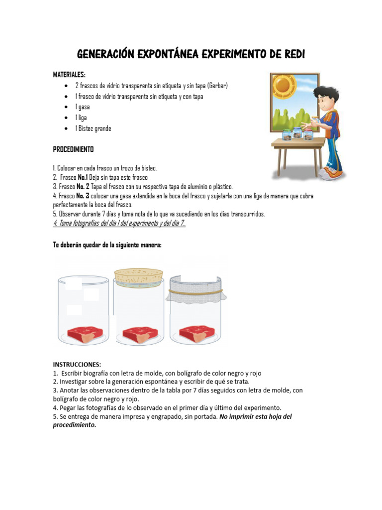 EXPERIMENTO DE REDI | PDF