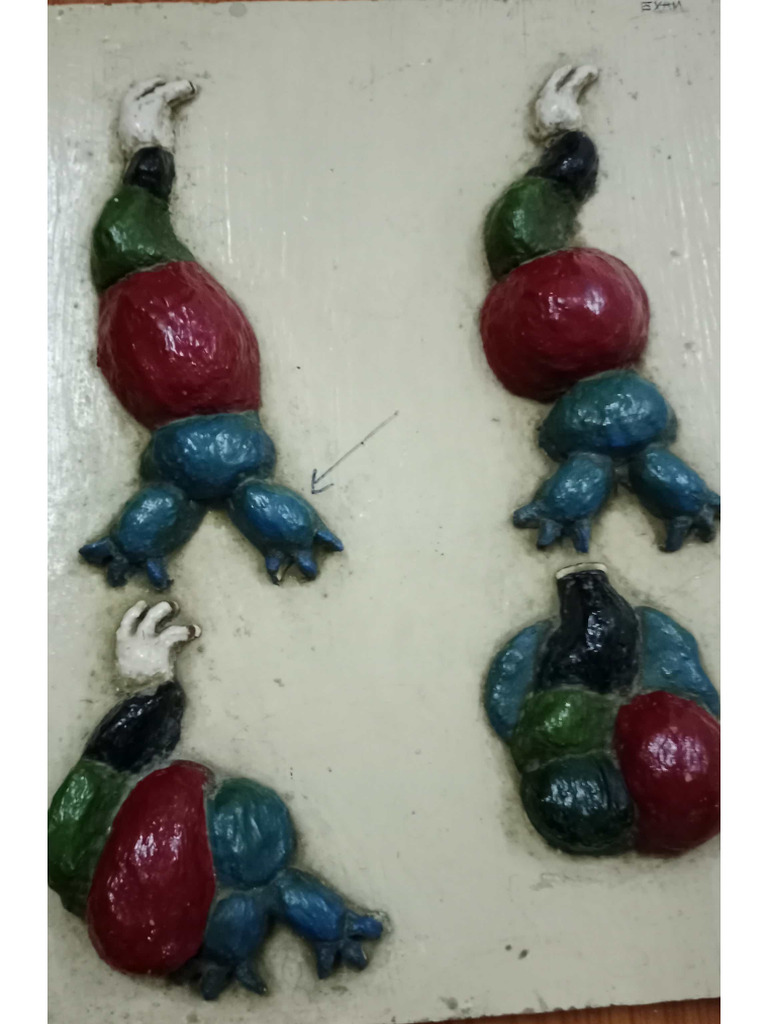 Heart Tube Development (Embryo Models) | PDF