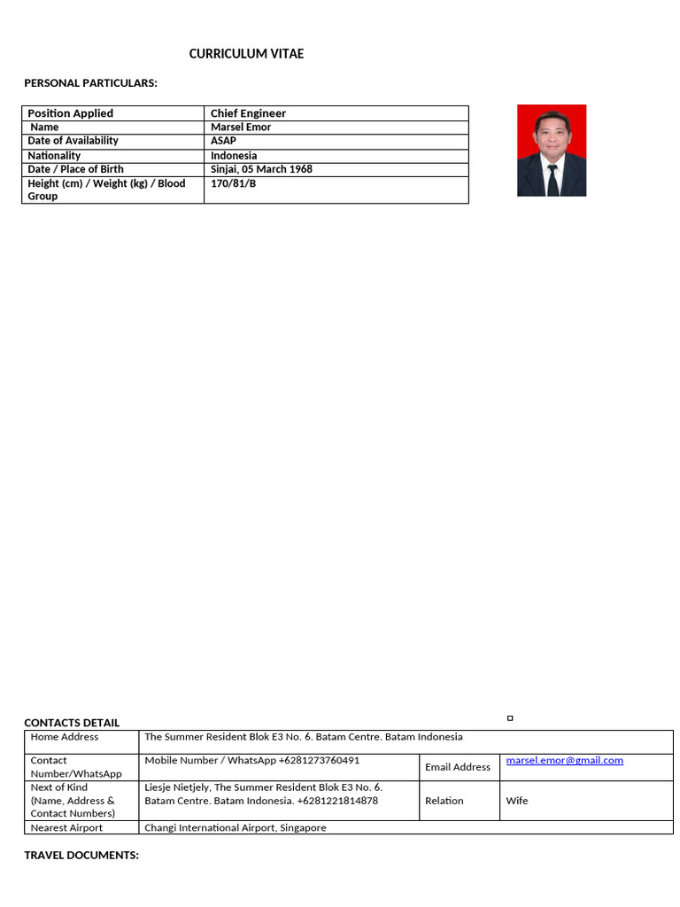 UPDATE CV 2023 | PDF
