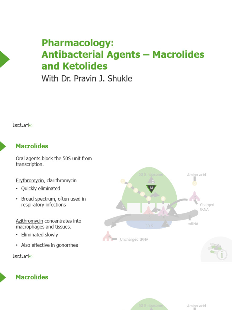 Slides - Antimicrobial Pharmacology - Macrolides - Ketolides PDF | PDF