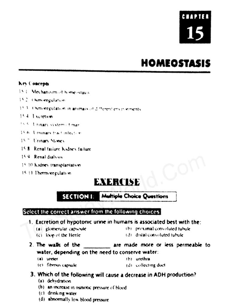 Chapter 15 - Homeostasis | PDF