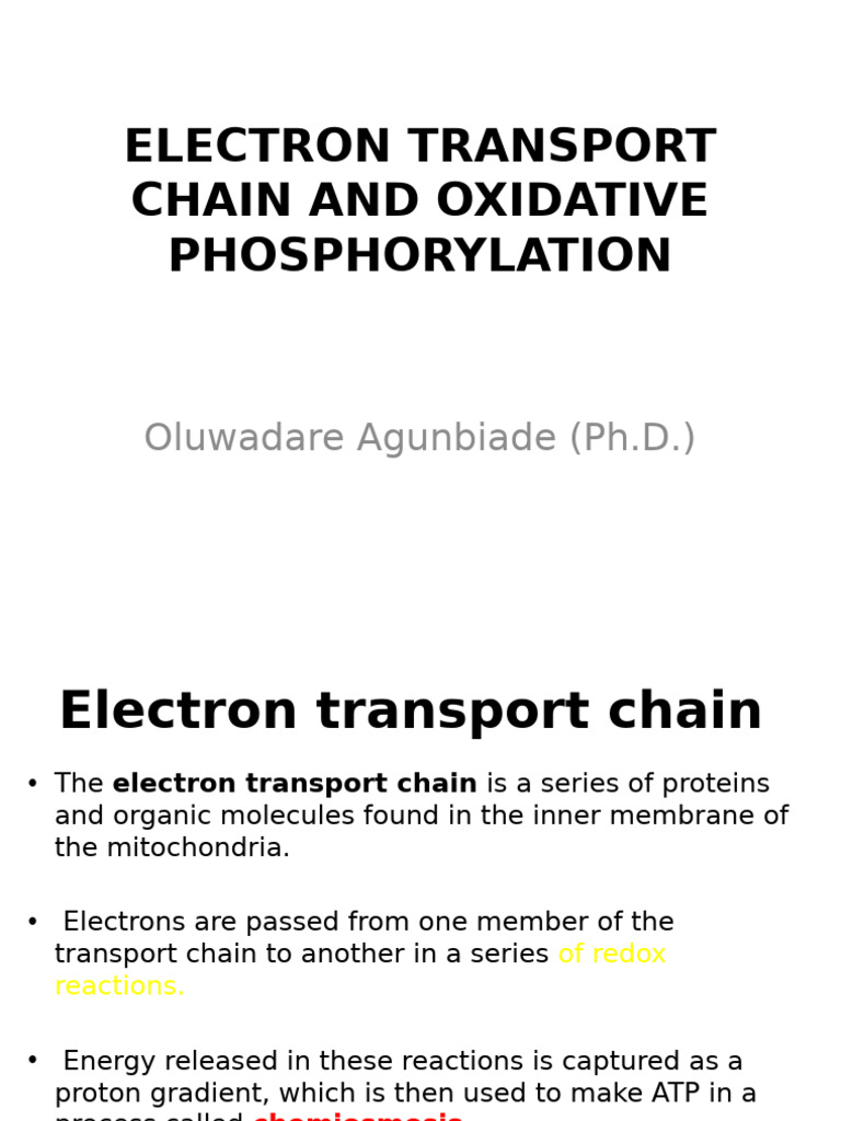 Electron Transport Chain and Oxidative Phosphorylation | PDF