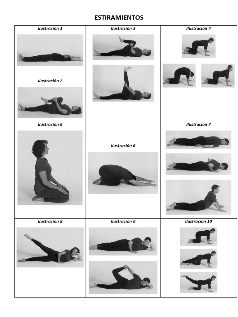 Estiramientos para La Columna | PDF