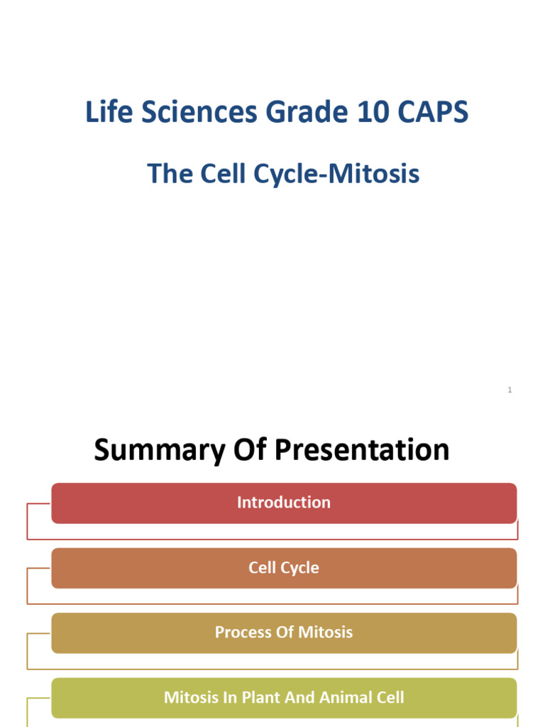 7. The Cell Cycle Grade 10 v2 | PDF