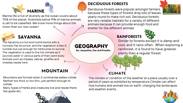 Geography (biomes) Mindmap | PDF