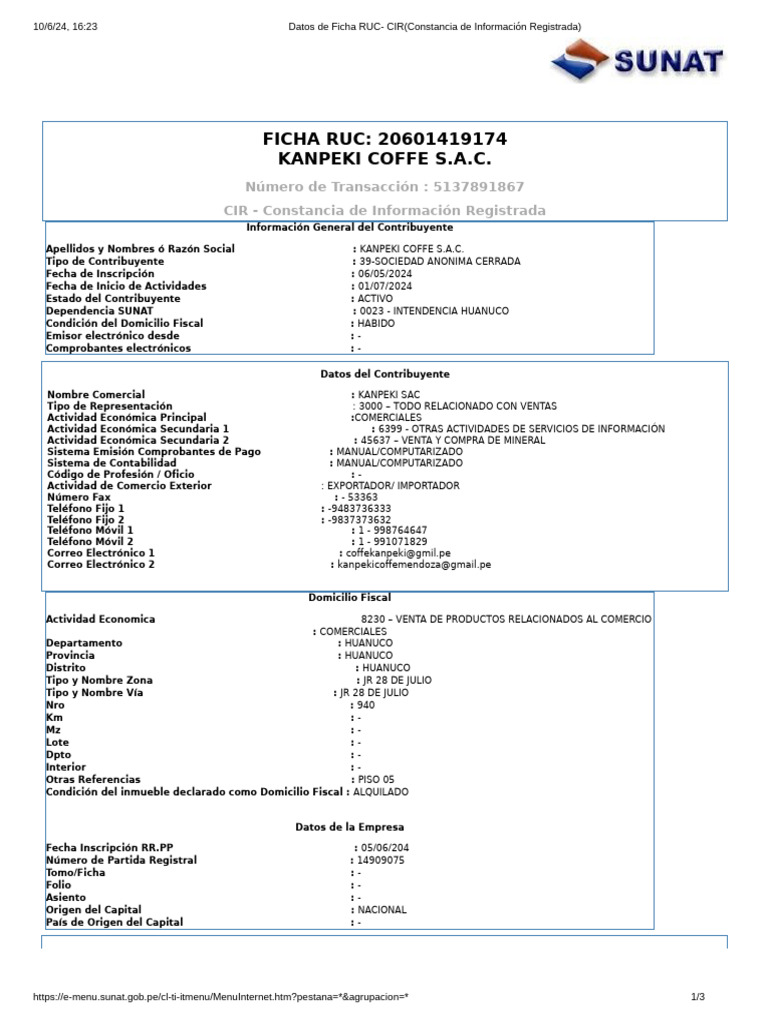 Ficha Ruc | PDF