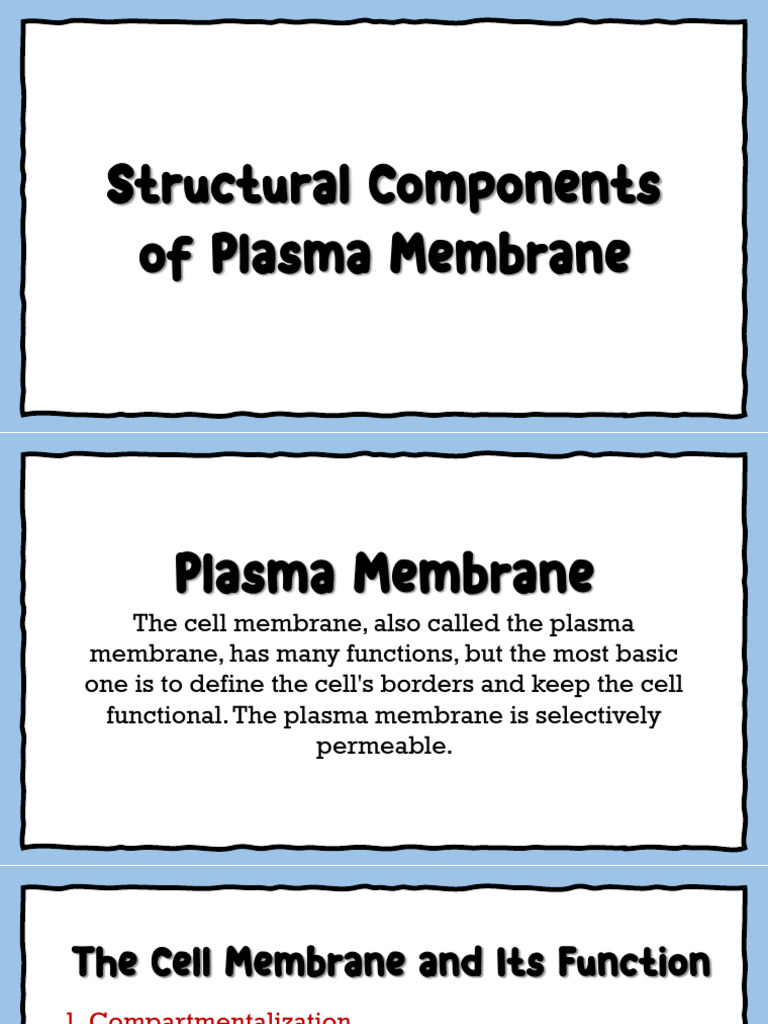 Structural Components of Plasma Membrane | PDF