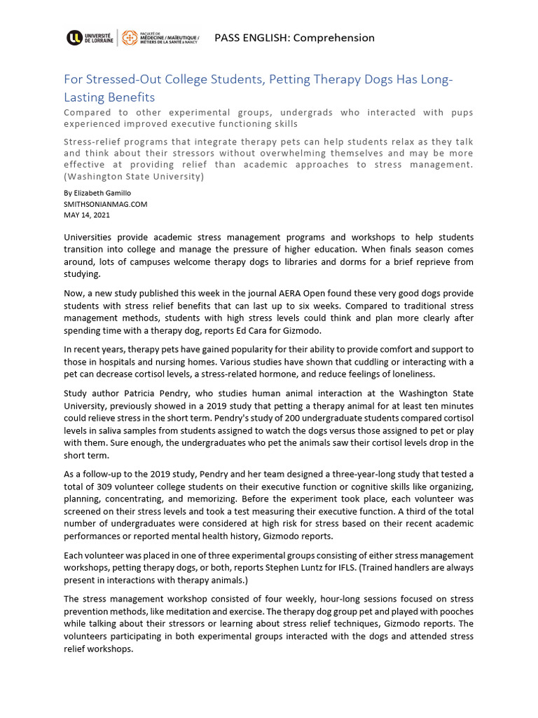 Comprehension Ergo | PDF