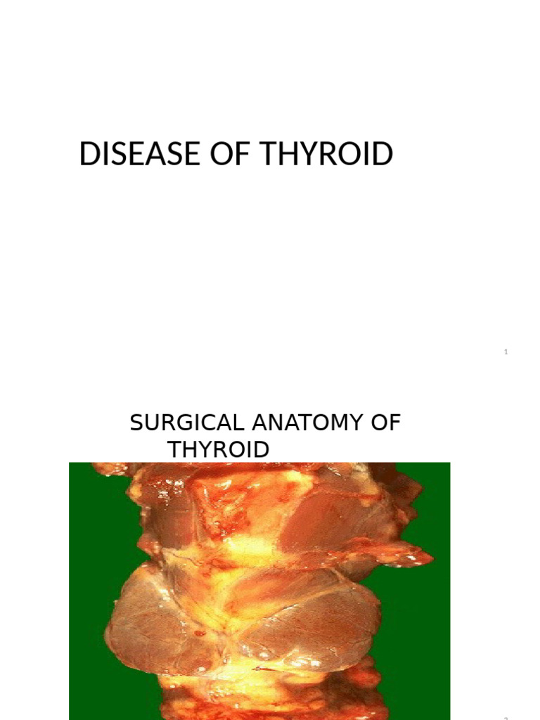 Thyroid | PDF