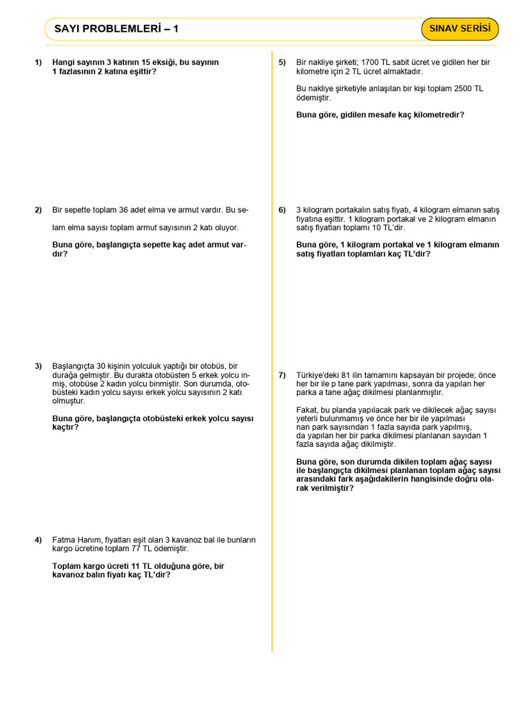 Sayi Problemleri - 1: Sinav Serisi | PDF