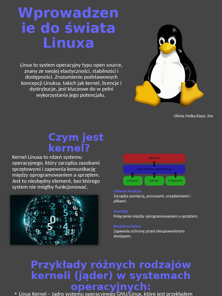 Wprowadzenie Do Świata Linuxa | PDF