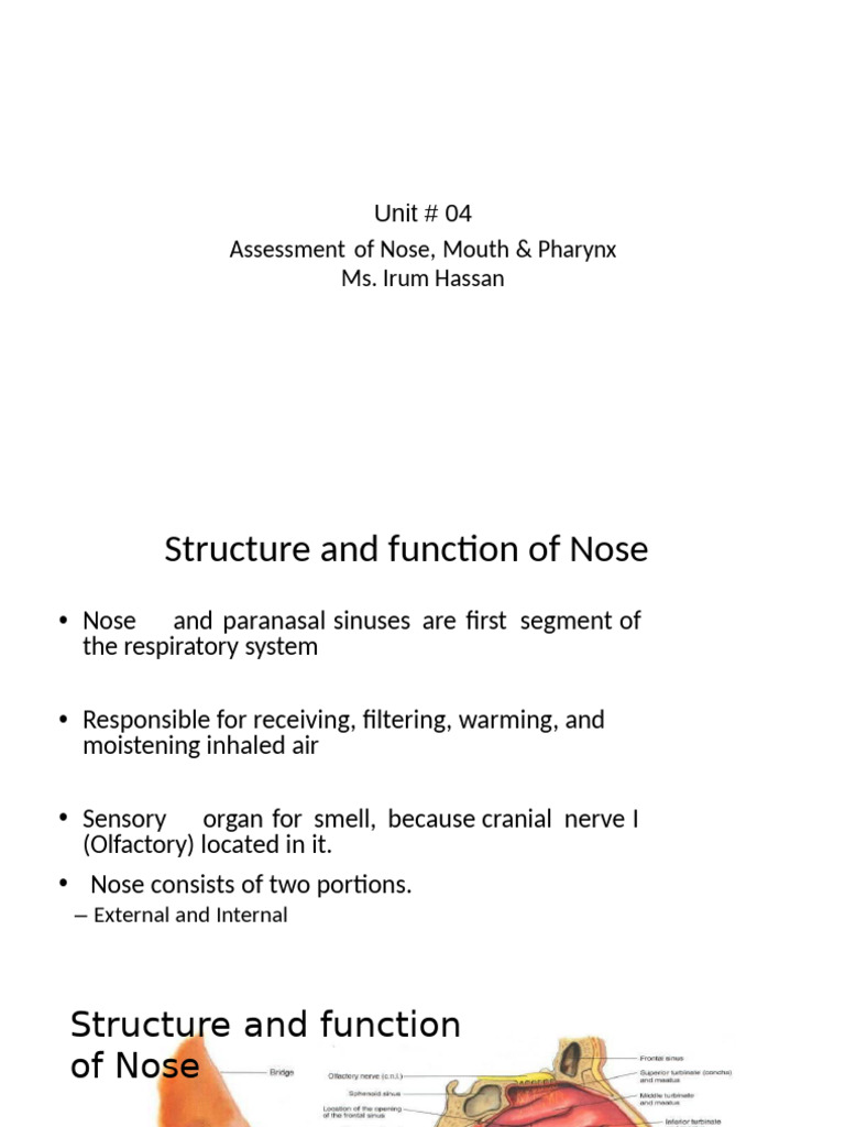 Unit IV Assesment Nose, Mouth & Pharynx | PDF | Human Nose | Human Anatomy