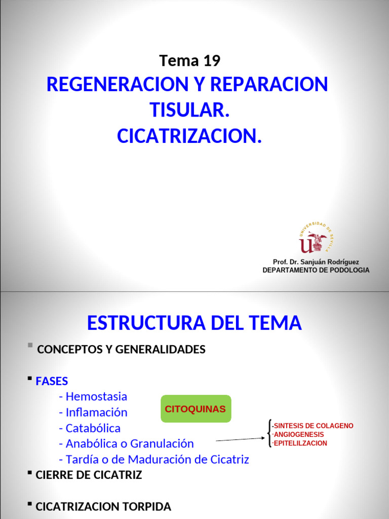 Tema 19 CICATRIZACIÓN | PDF